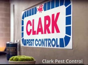 Terminix Vs. Clark Pest Control: How Do These Pest Control Companies ...