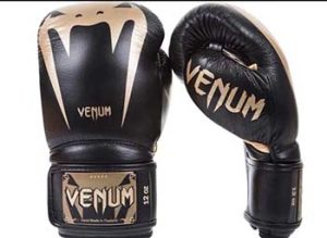 Venum Vs. Hayabusa: Which Martial Arts Brand Is Better?
