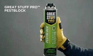 Pestblock Foam Vs. Regular Foam: Better Solution Of Pests