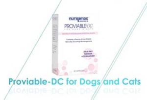 Proviable Forte Vs. Proviable DC: Which Is Best For Dog Owners?
