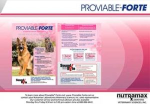 Proviable Forte Vs. Proviable DC: Which Is Best For Dog Owners?