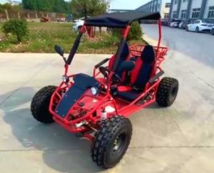 X-Pro Rover 125cc Go Kart Review: Is It Worth It?